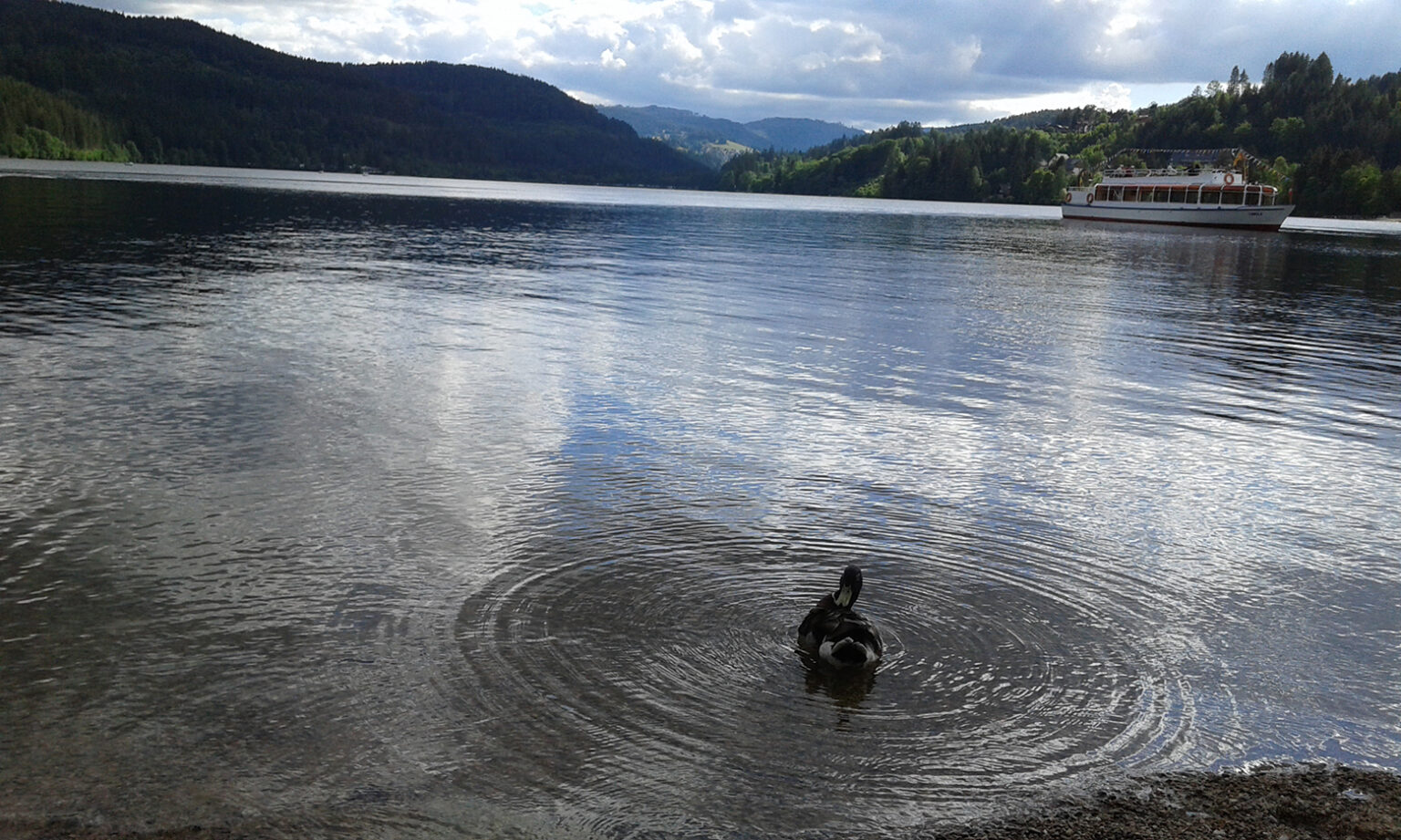Lago Titisee, Selva Negra - Lugares y otras Curiosidades