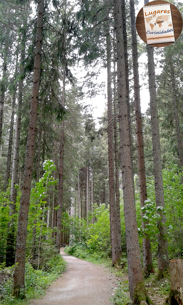 Lago Titisee, Selva Negra - Lugares y otras Curiosidades