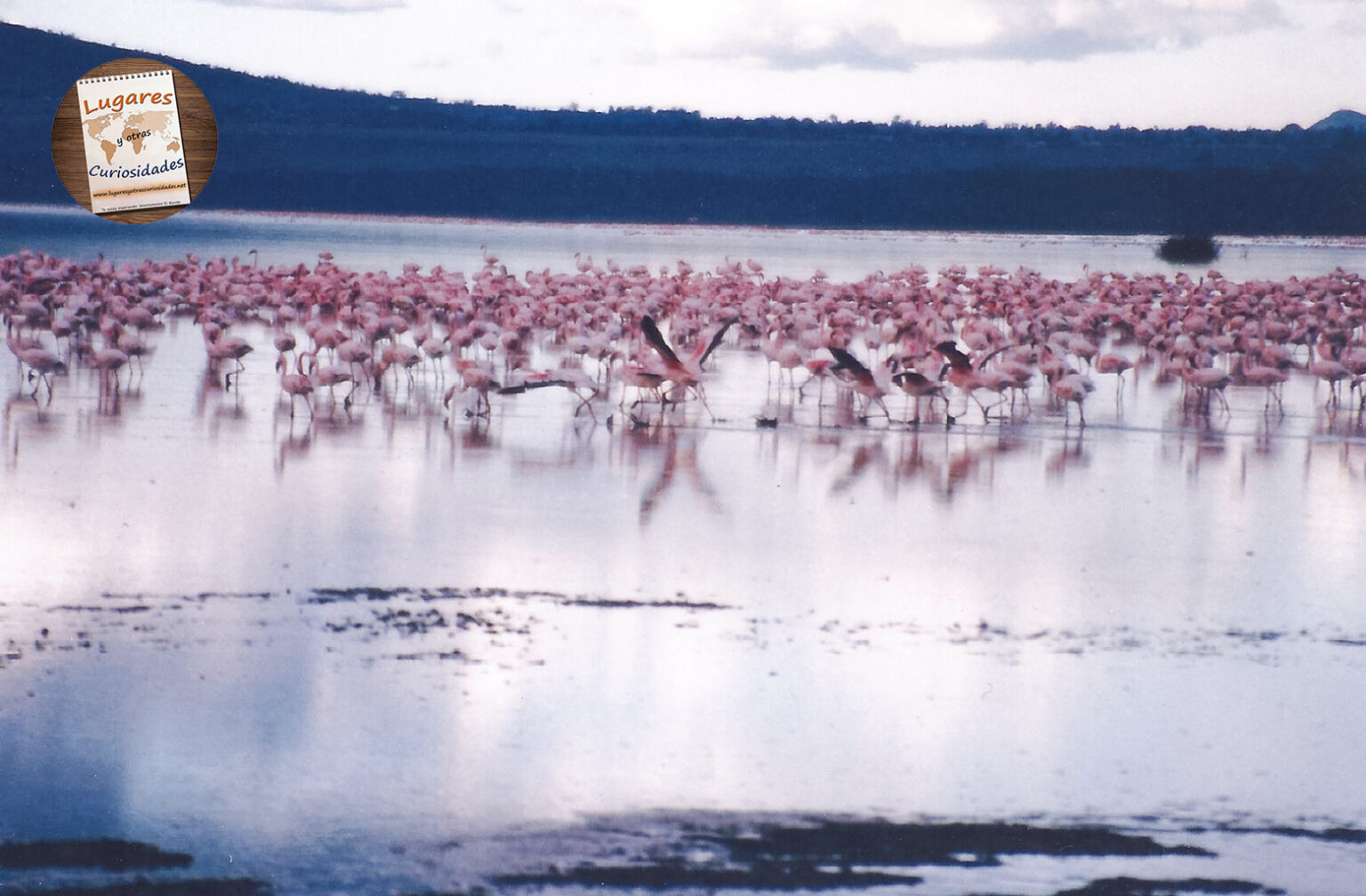 Lago Nakuru la perla rosa de KenyaNakuru,Kenya - Lugares y otras ...