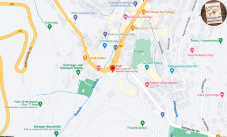 - Triberg relojes de cuco y cascadas en la Selva Negra